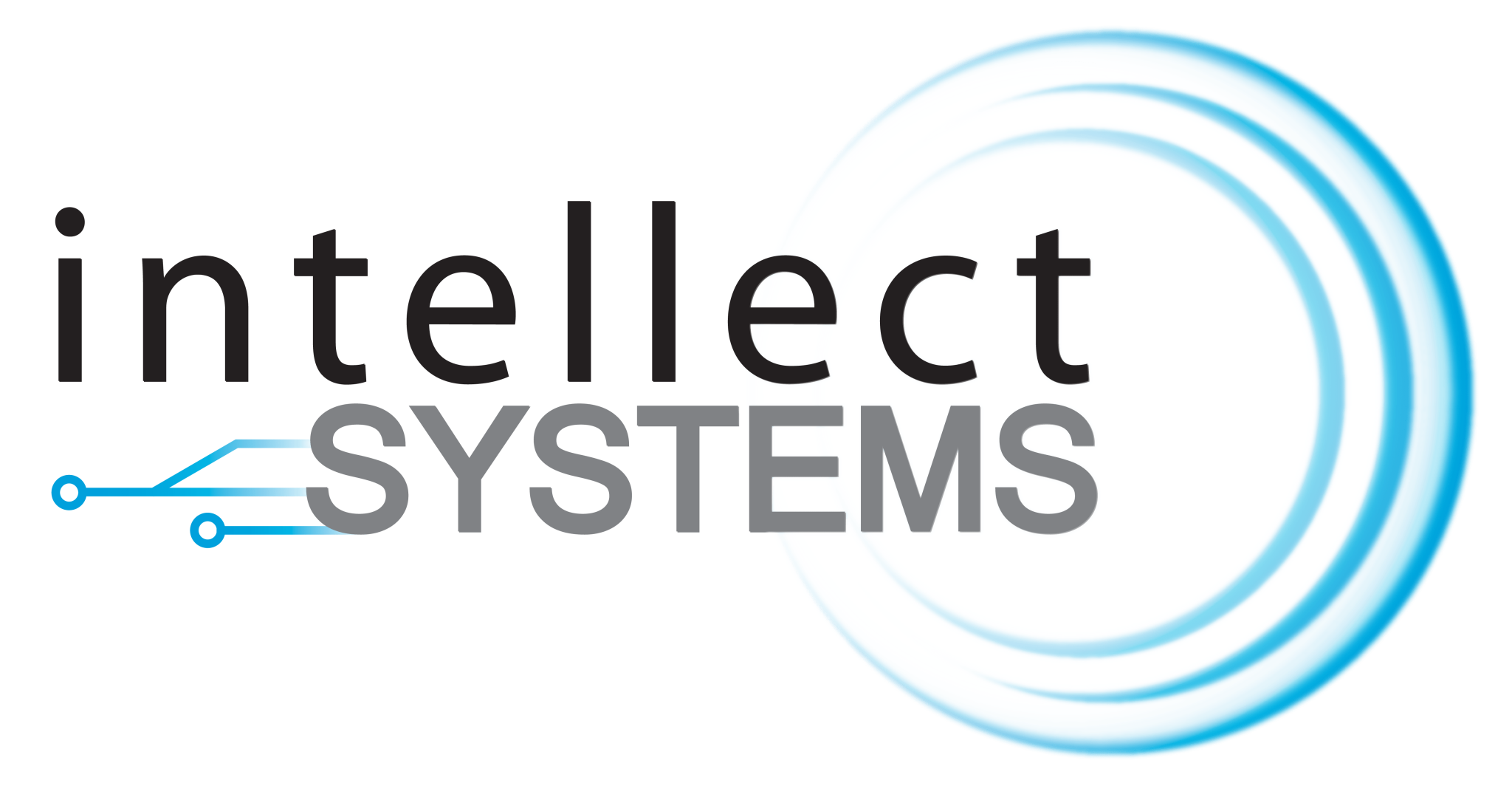 Intellect Systems - Complete IT Solutions